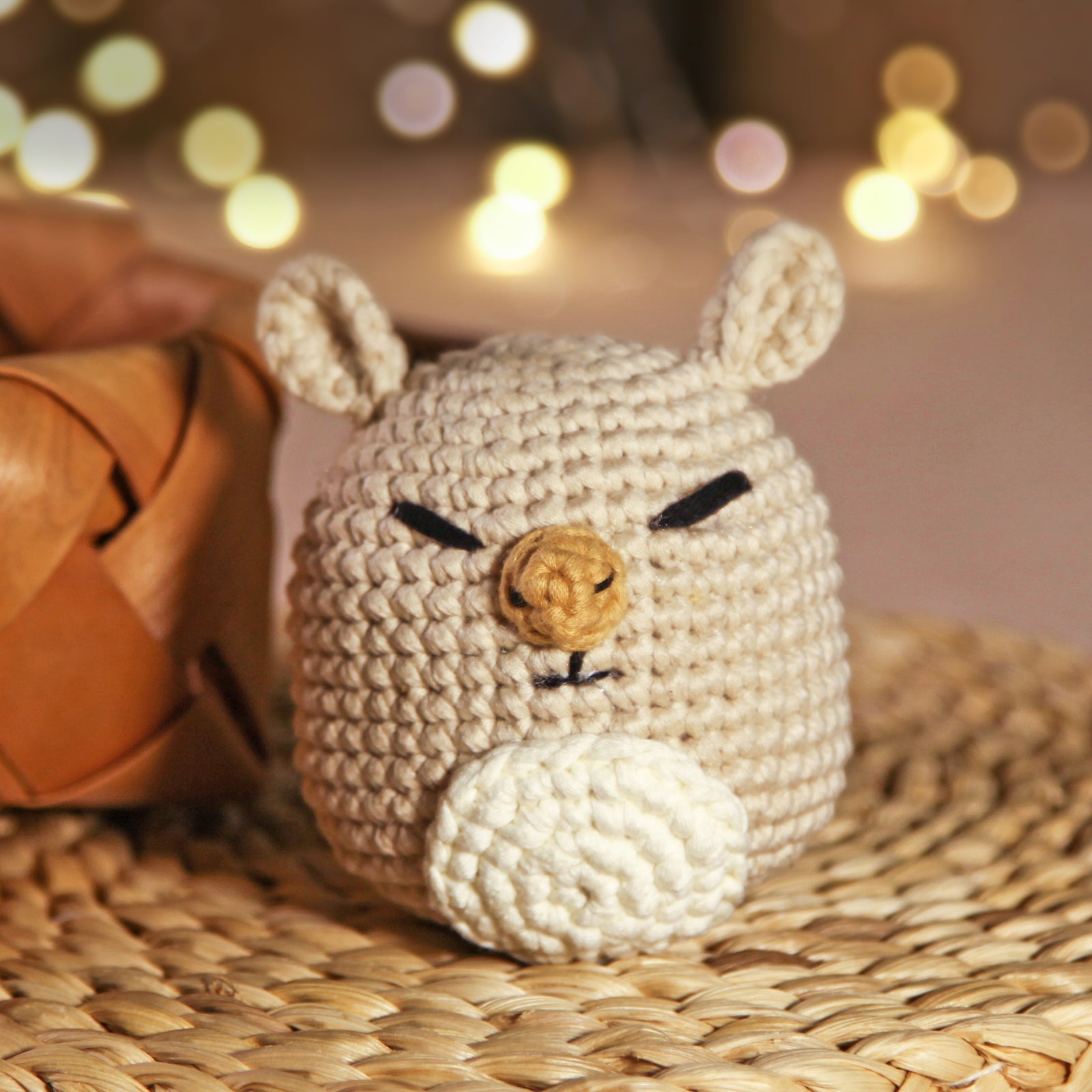 CROCHET BOX Crochet Kit for Beginners: Capybara
