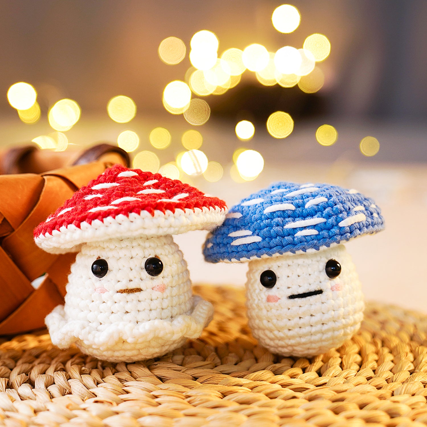 CROCHET BOX Complete Crochet Kit for Beginners - Mushy Duo